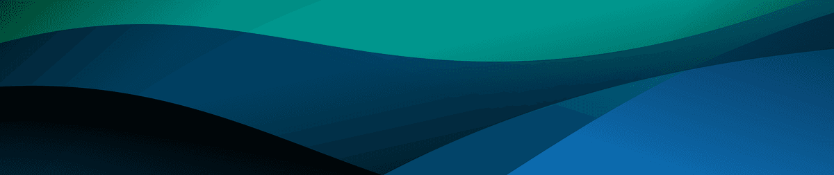 The essentials of risk management